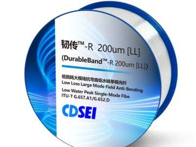 The Role of SM Fiber in Next-Generation Data Center Interconnects - CDSEI