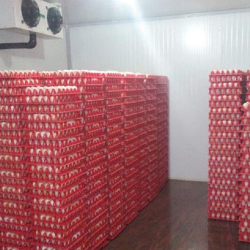 Egg room cooler | Climate Control Equipment | | Beijing Yunfeng Limin ...