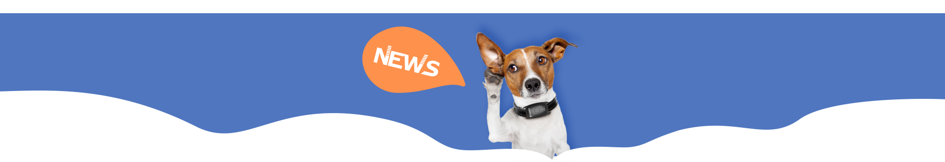 Why Are GPS Dog Trackers Essential for Busy Pet Owners?