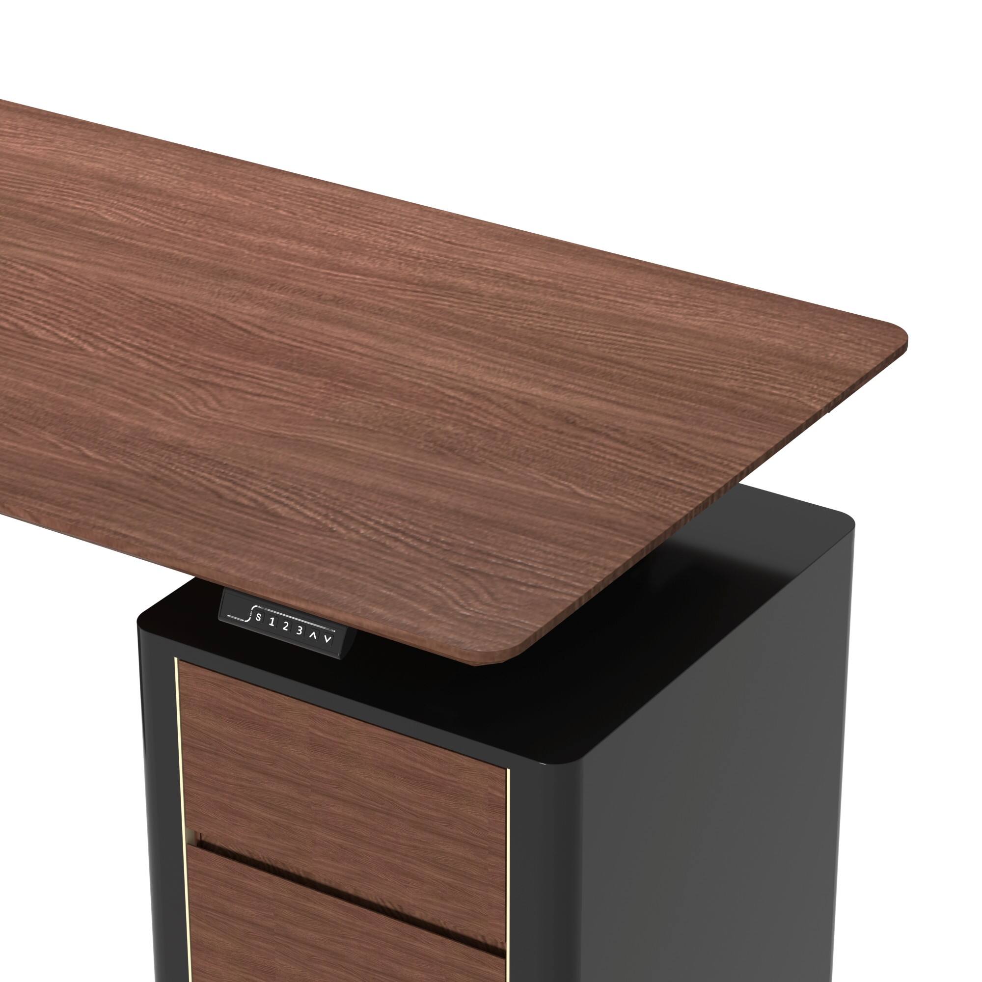Dual Motor Height Adjustable Black Walnut Wooden Desk with USB & 3 ...
