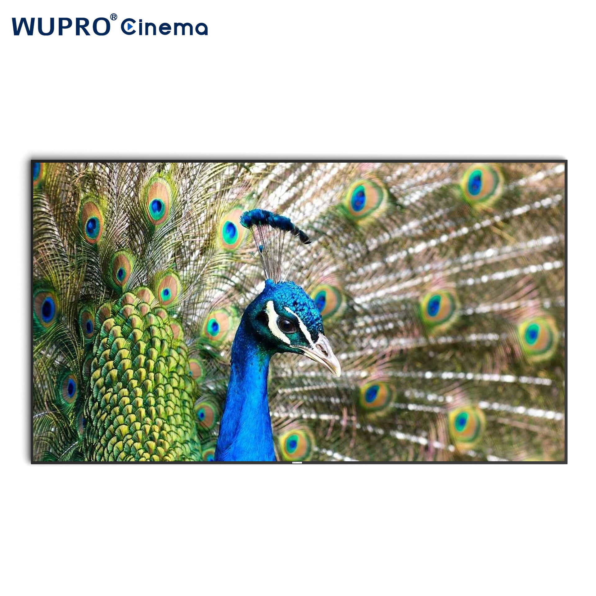 Wupro Cinema UST ALR Fixed Frame Screen Fresnel , China Wupro Cinema ...