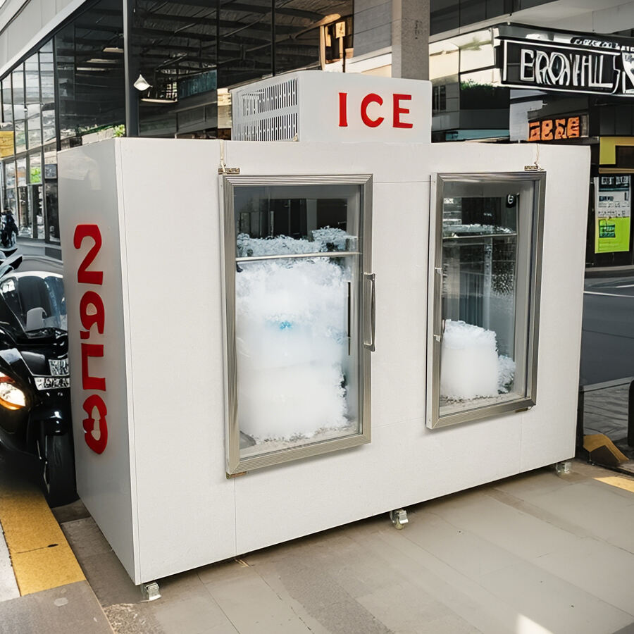 Indoor Double Glass Door Packaged Ice Bags Freezer Storage Box