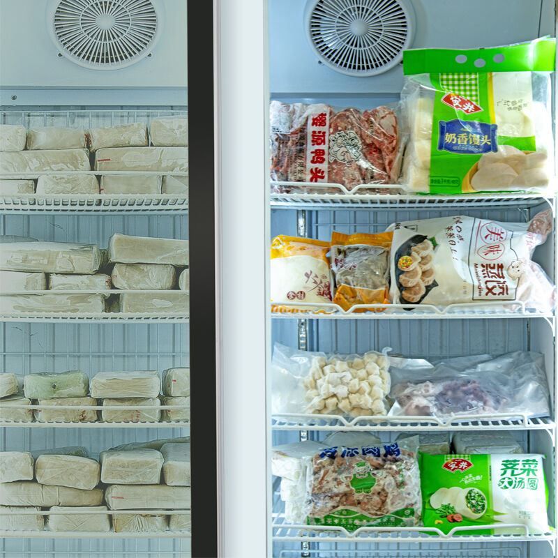 freezer de Exibição Vertical com 2 Portas de Vidro