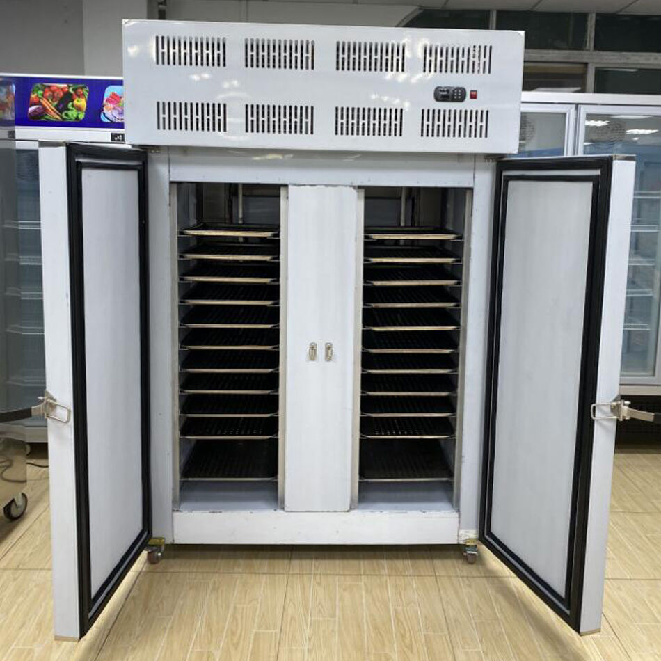 1000L Vertical Blast Chiller: 22 Trays Shock Freezer
