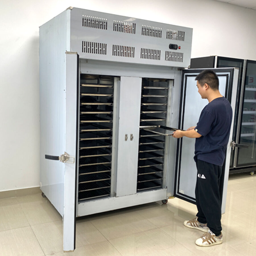 -112℉ Cryogenic Deep Freezer: 28 Racks Blast Chiller from Factory