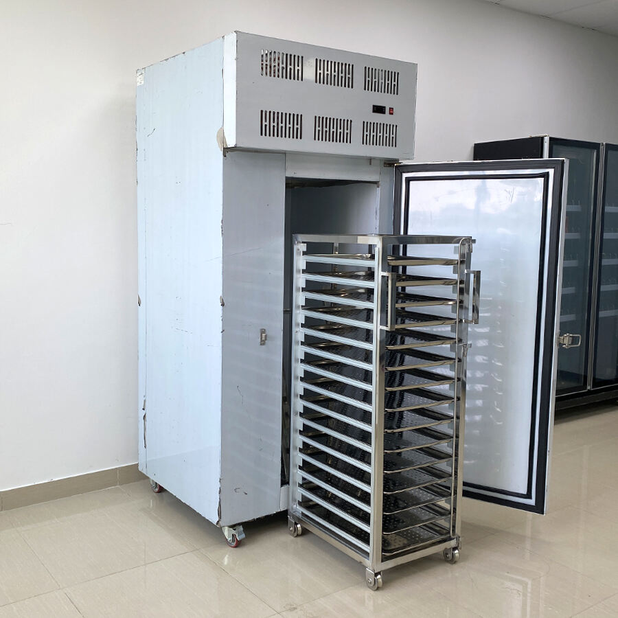 Stainless Steel Air-Cooled Single-Door 15-Trays Blast Freezer ABF Machine