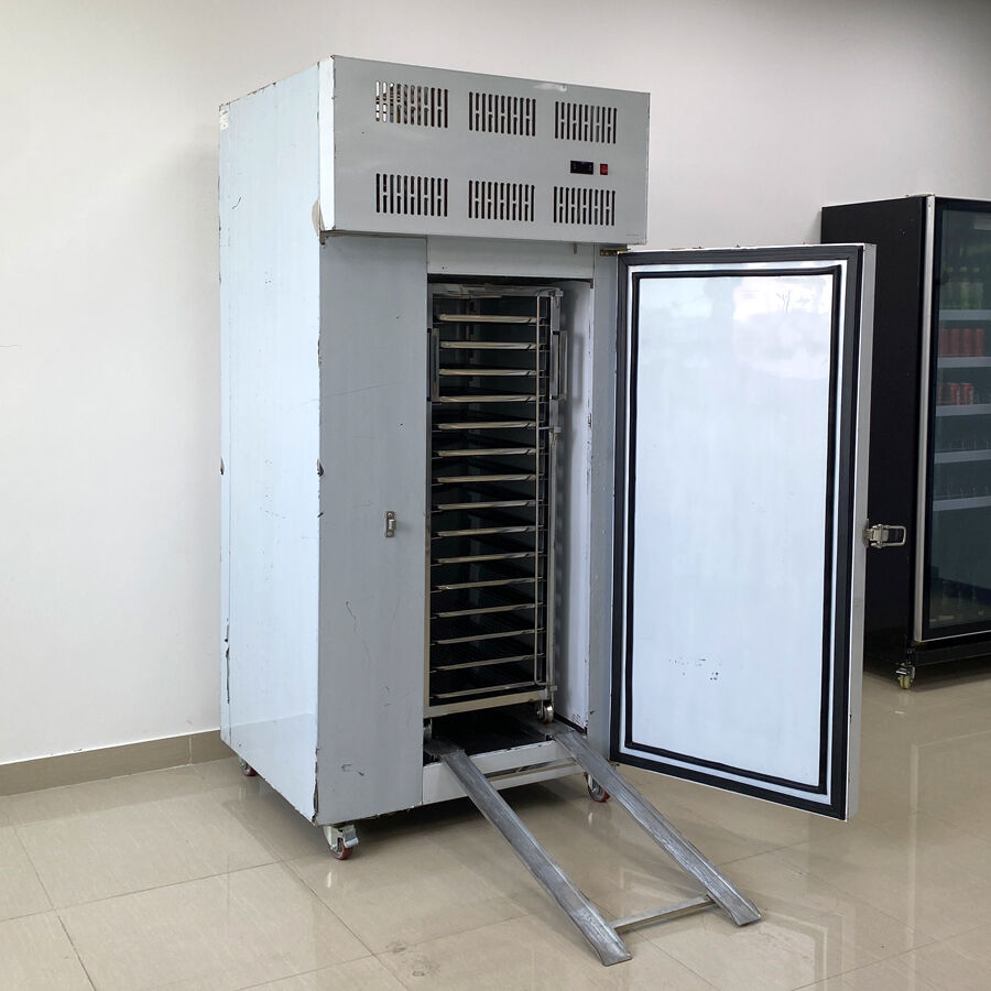 Stainless Steel Air-Cooled Single-Door 15-Trays Blast Freezer ABF Machine