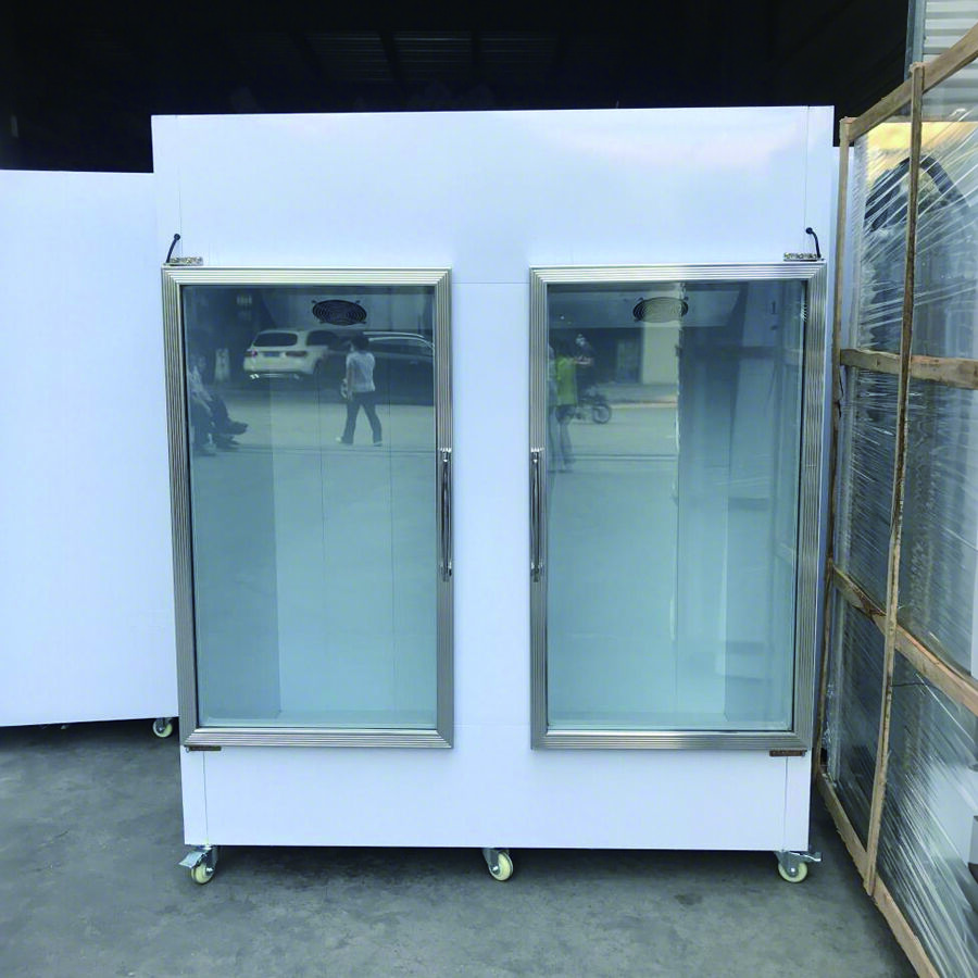 Indoor Double Glass Door Packaged Ice Bags Freezer Storage Box