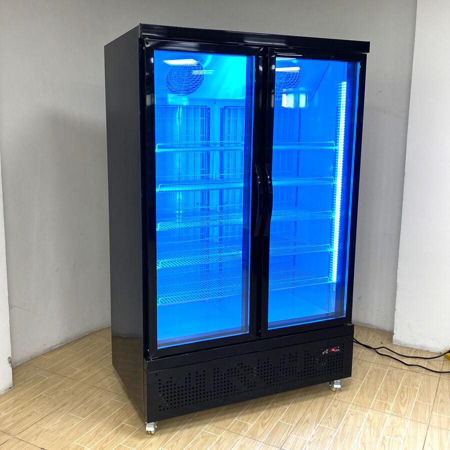 Freezer comercial vertical de doble puerta con montaje inferior