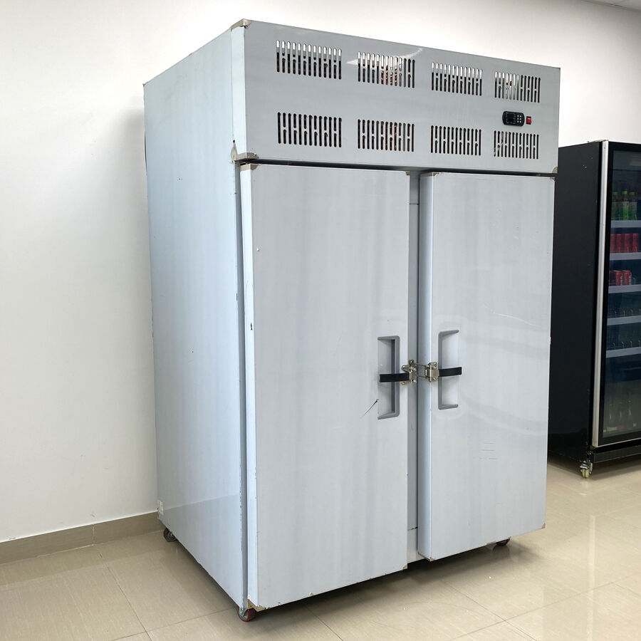 -112℉ Cryogenic Deep Freezer: 28 Racks Blast Chiller from Factory