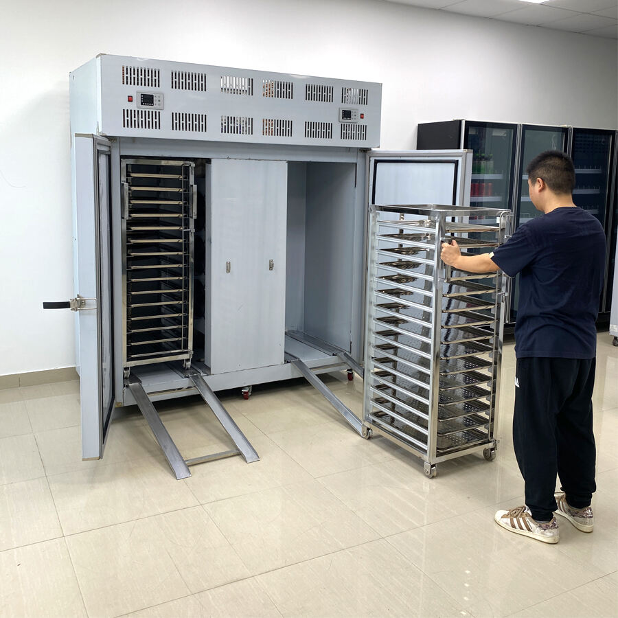 Industrial 30-Plates Blast Freezer: Fast Shock Freezing