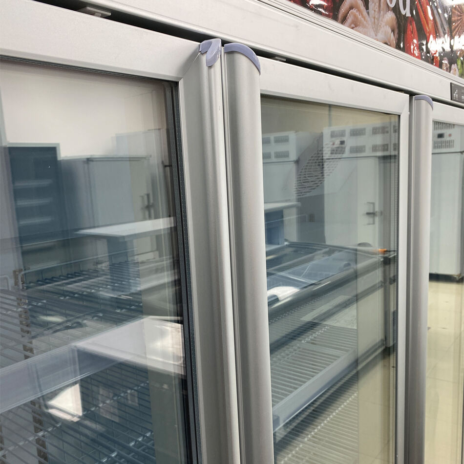 Custom Logo Commercial Vertical Display Freezer with Canopy