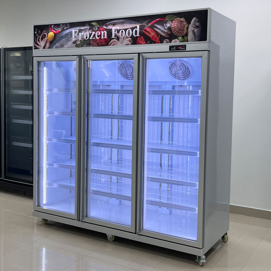 Custom Logo Commercial Vertical Display Freezer with Canopy