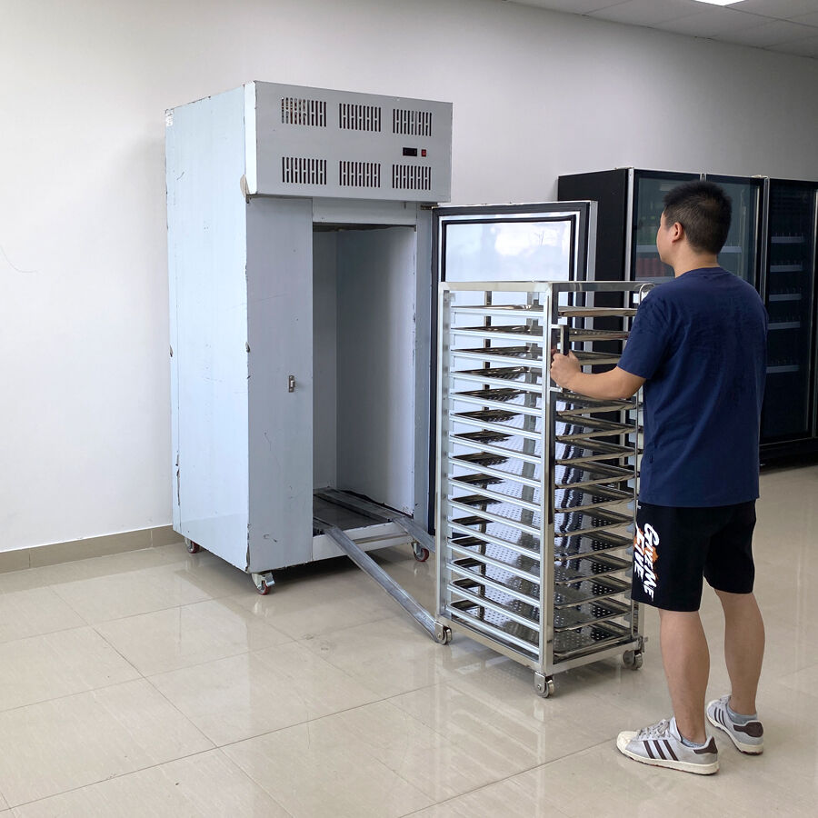 Stainless Steel Air-Cooled Single-Door 15-Trays Blast Freezer ABF Machine