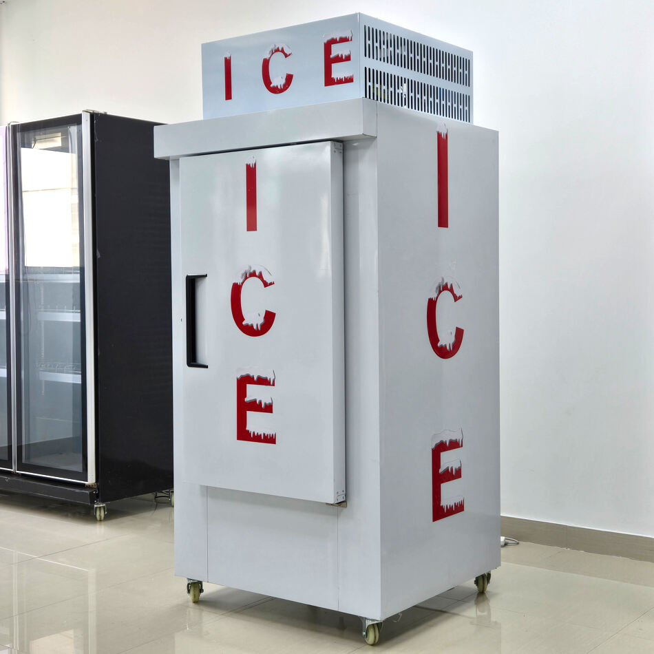 30cuft 100 Bags Commercial Ice Merchandiser Cabinet