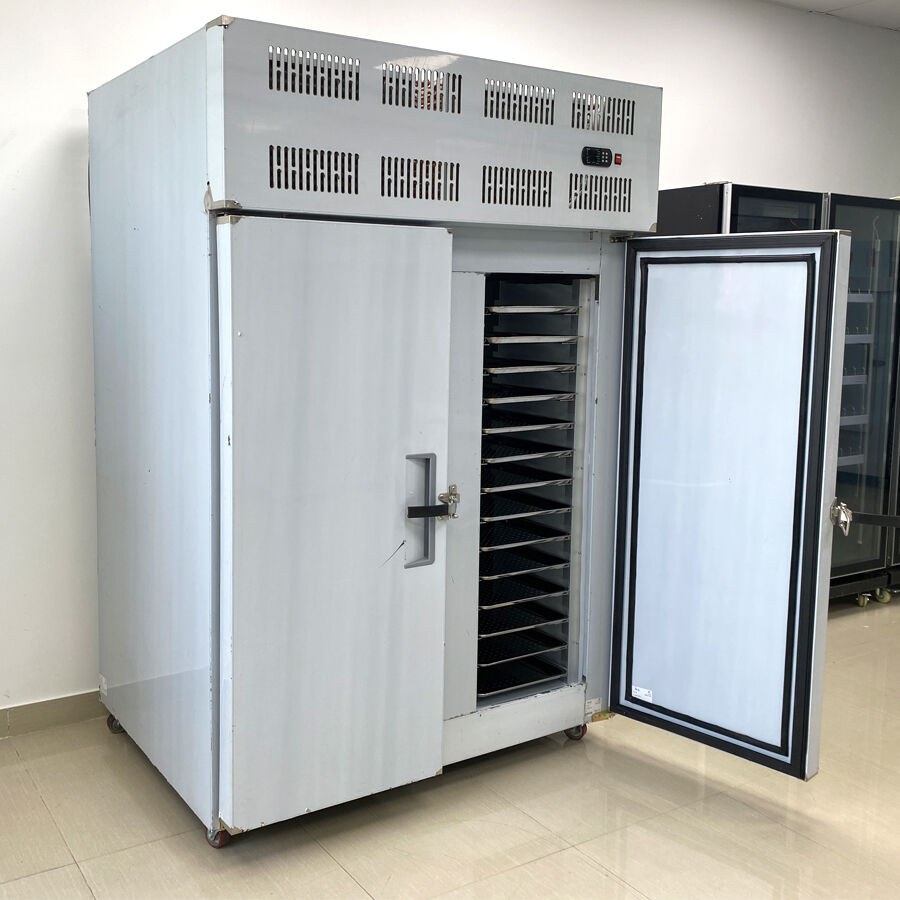 -112℉ Cryogenic Deep Freezer: 28 Racks Blast Chiller from Factory