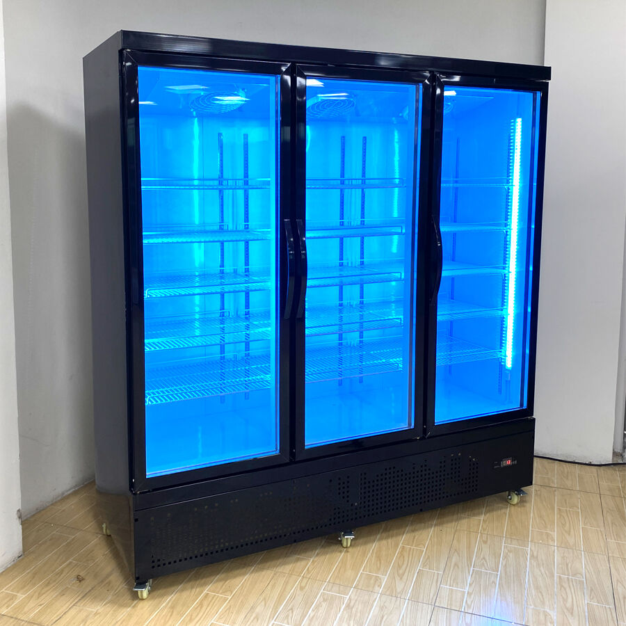 Built-in 1600L Frozen Food Display Cabinet for Supermarkets
