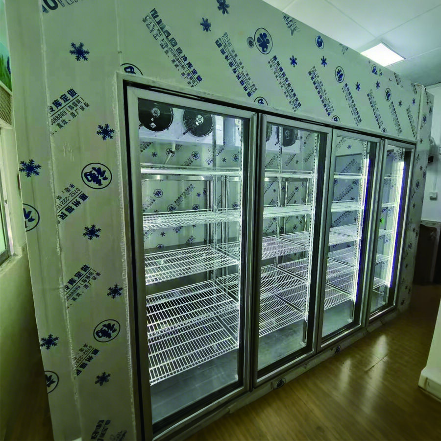 Glass Doors Walk-in Chiller: Cool Room Display Freezer Chamber