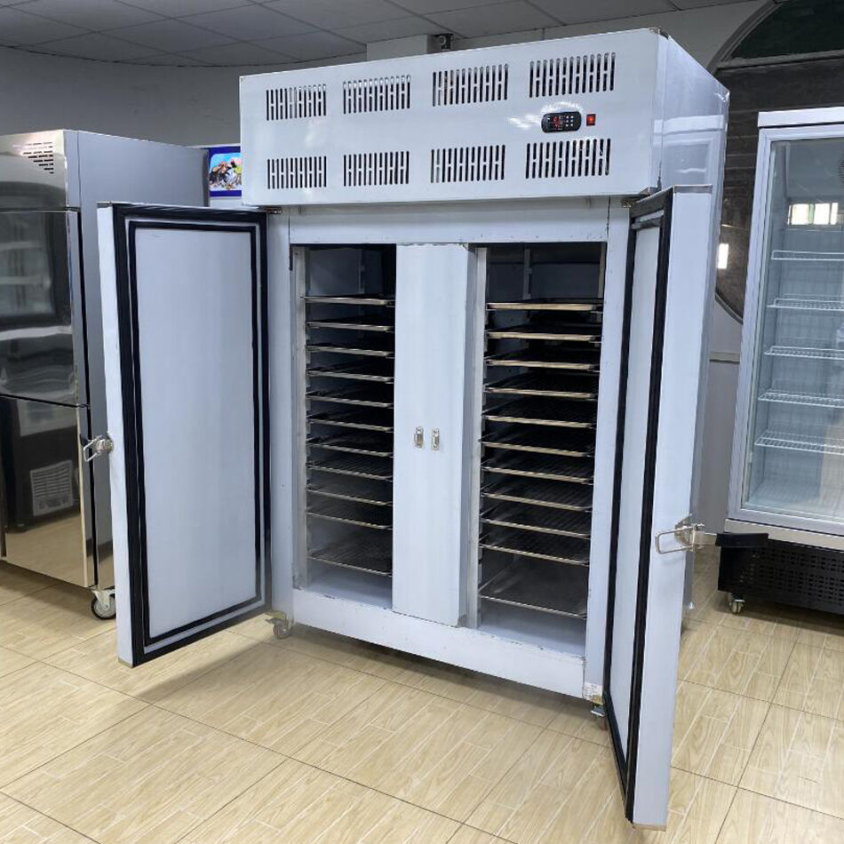 IQF BQF 22-Trays Batch Quick Freezing Freezer Blaster for Meat Processing