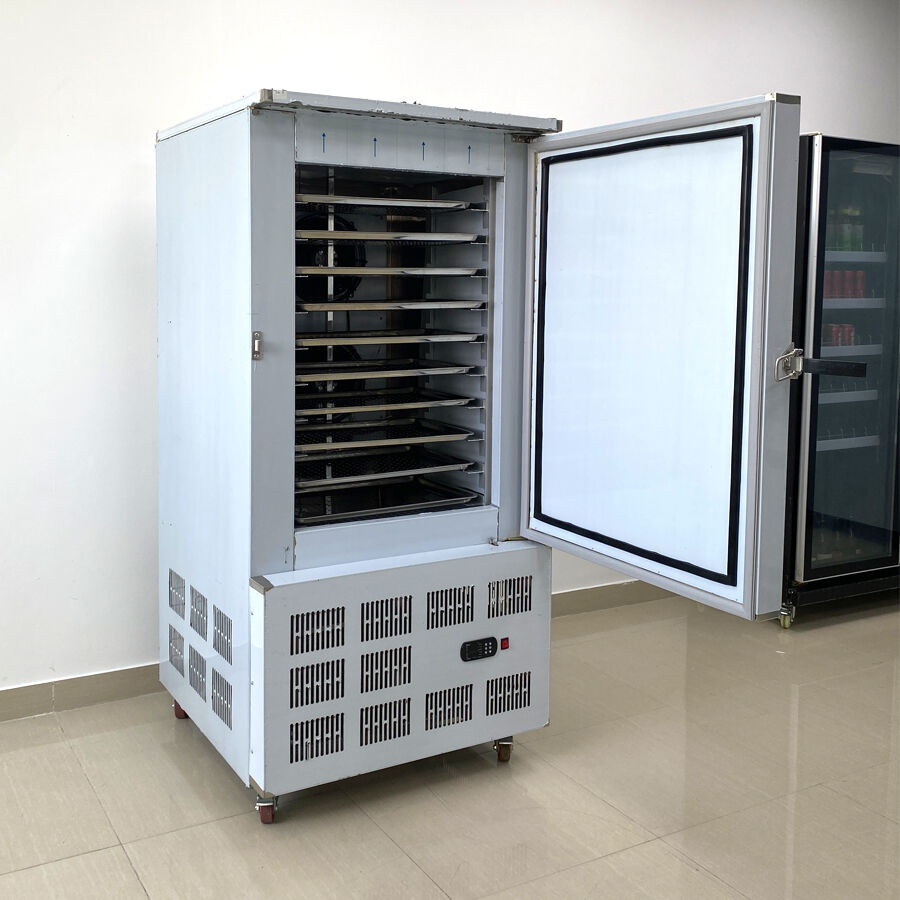 Small 10-Plates Flash Freezer Equipment