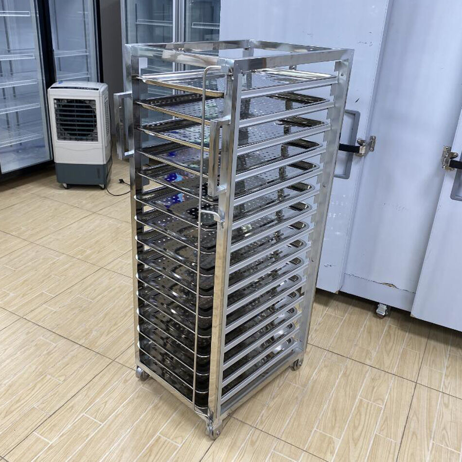-80℃ Double-Door 30-Plate Blast Chiller & Shock Freezer with Trolleys
