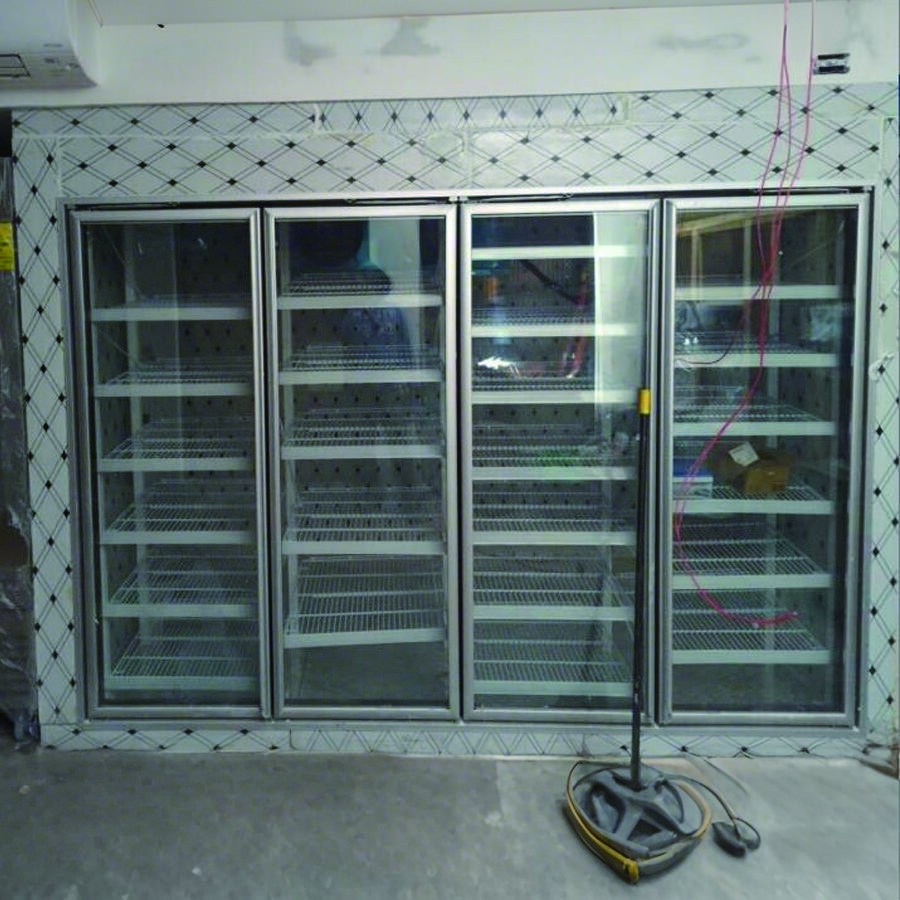 Glass Doors Walk-in Chiller: Cool Room Display Freezer Chamber