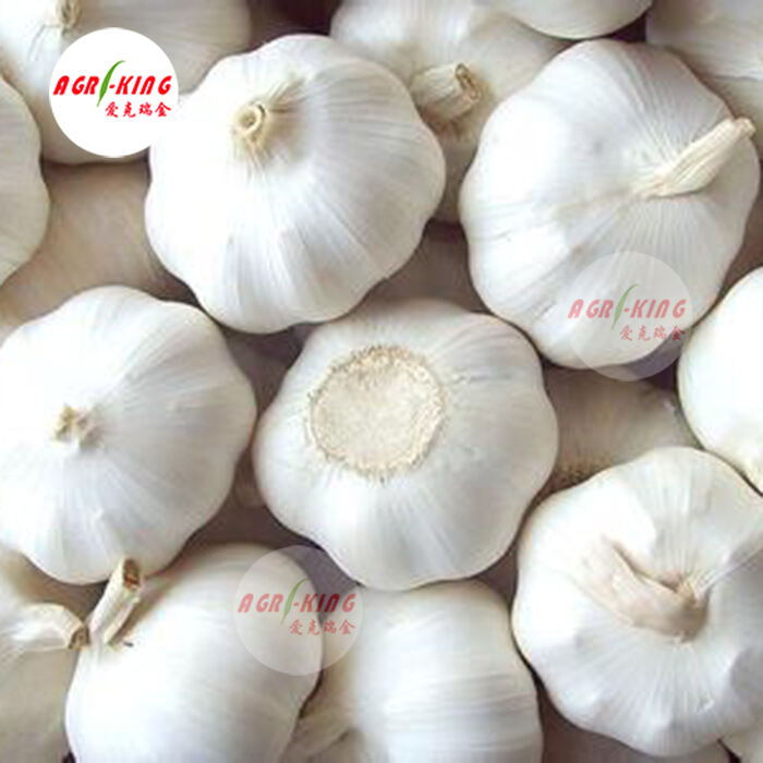 Fresh Garlic, China Fresh Garlic Manufacturers, Suppliers, Factory ...