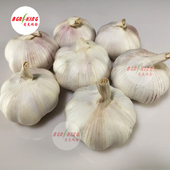 Fresh Garlic, China Fresh Garlic Manufacturers, Suppliers, Factory ...