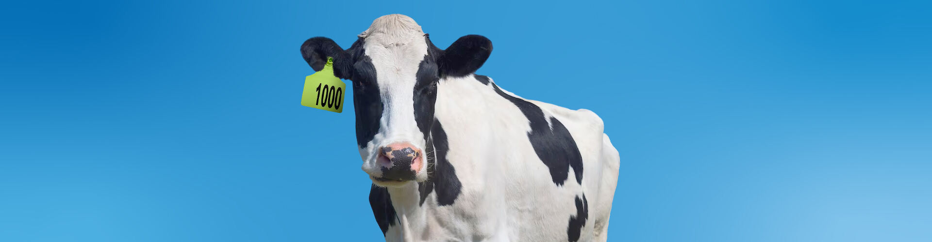 Products | Visual Identification 、 Electronic Identification 、 ID ...