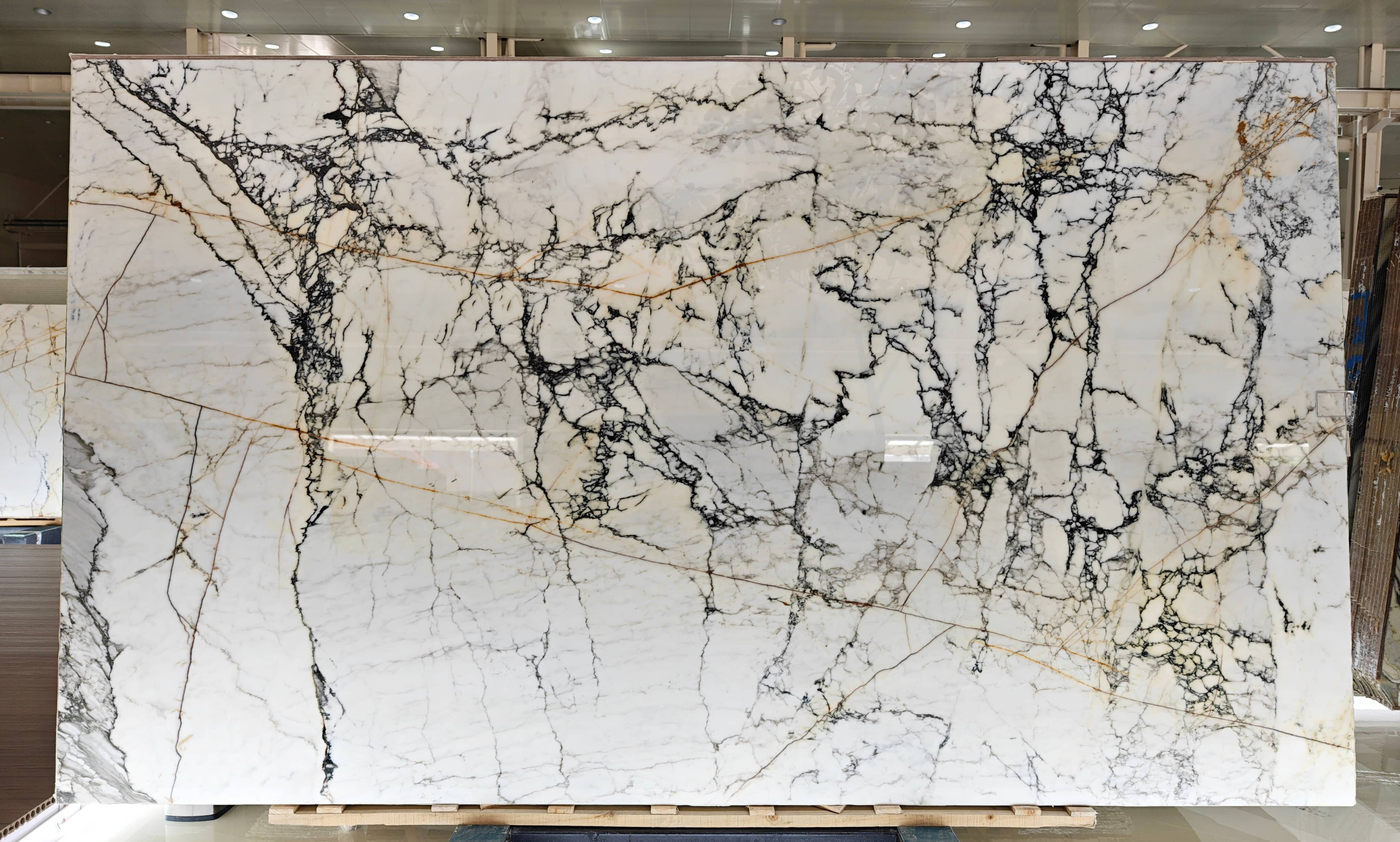 Calacatta Paonazzo Marble Slab for Luxury Hotel and Commercial Projects ...