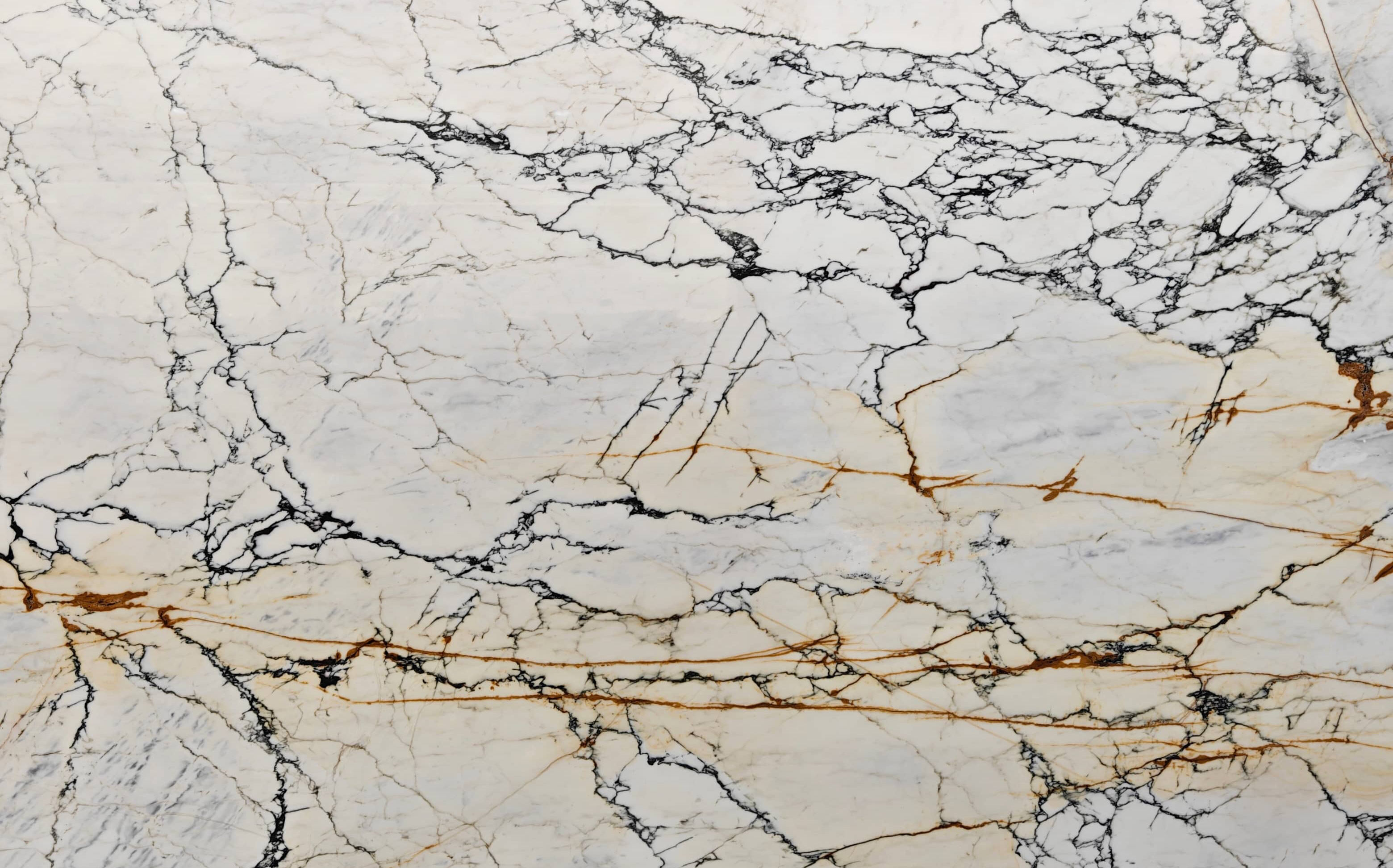 Calacatta Paonazzo Marble Slab for Luxury Hotel and Commercial Projects ...
