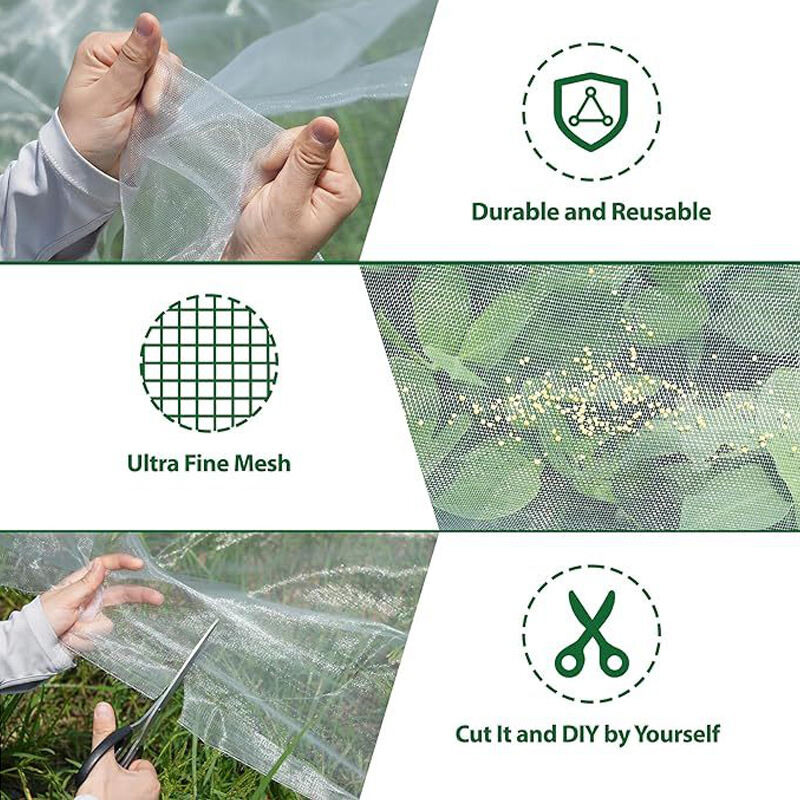 Prevent Greenhouse Pests: 4-Step Integrated Strategy