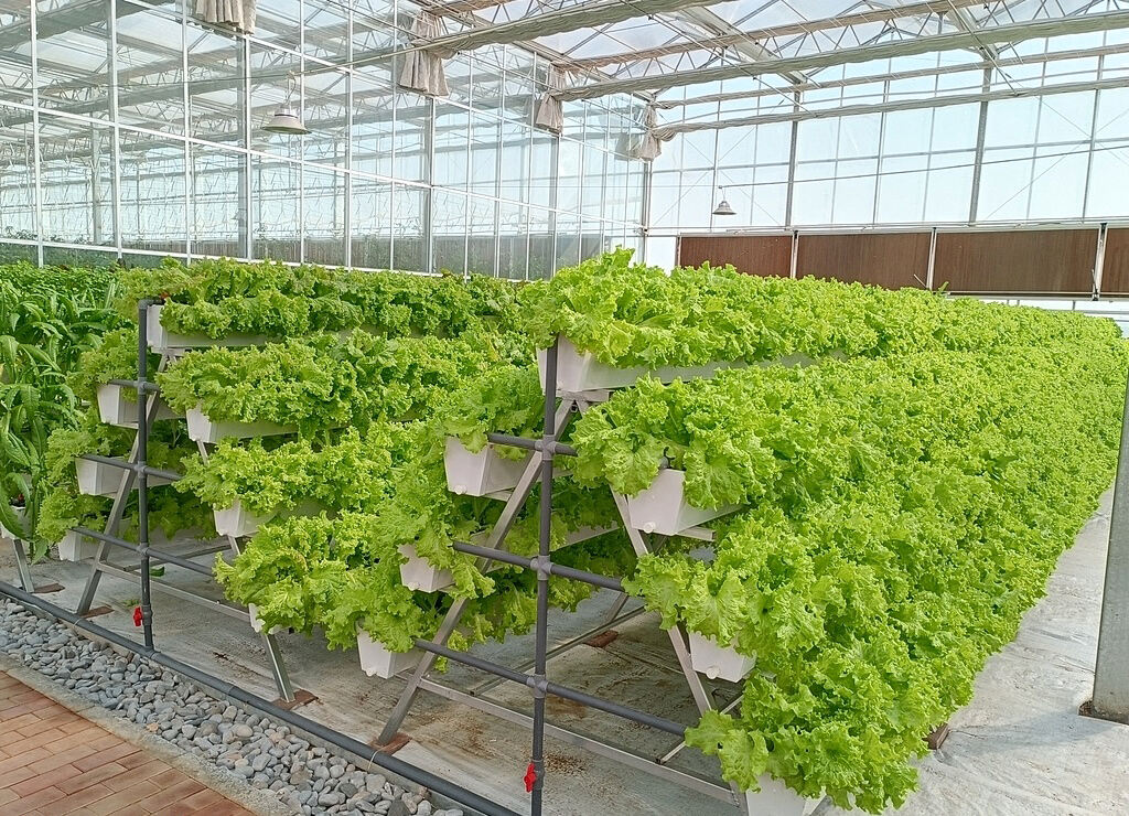 Efficient Hydroponics Growing System Design