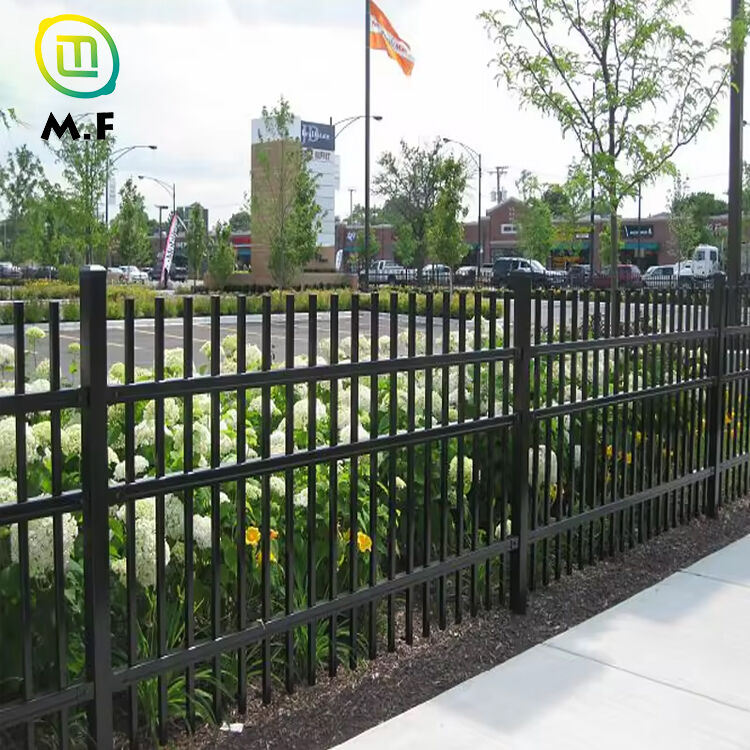 Factory Customization: Zinc Steel Security Garden and Farm Black ...