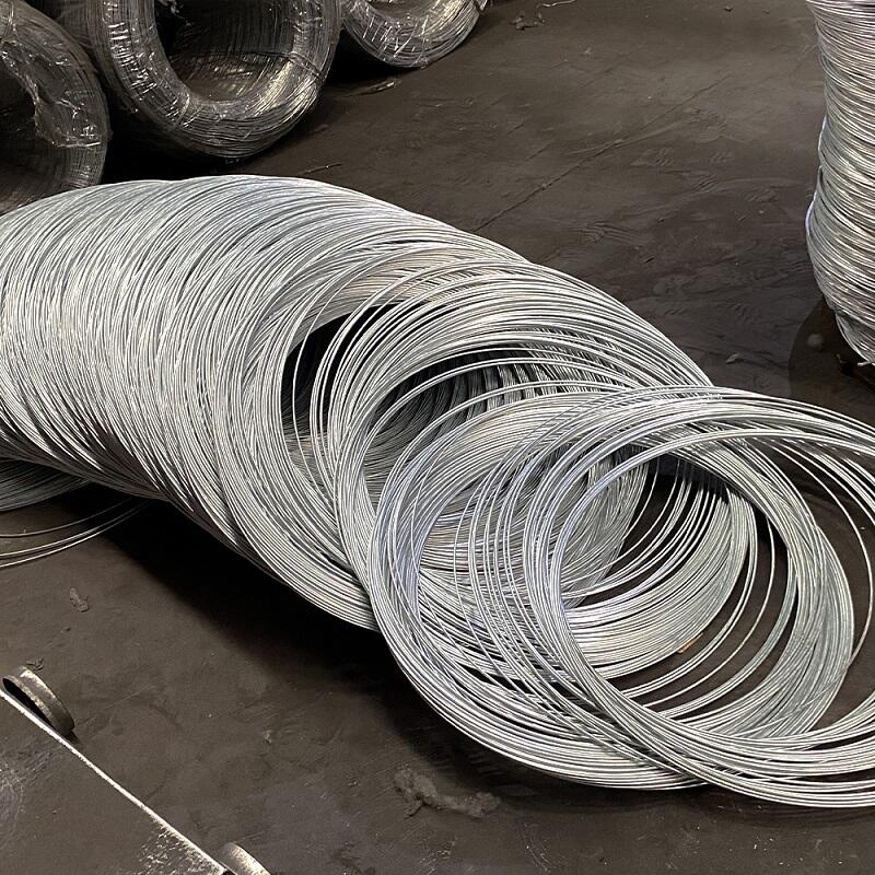 Hongzheng Metal - Galvanized Iron Wire