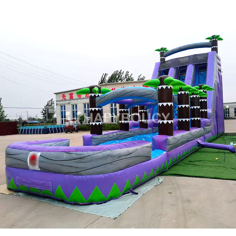 Giant Purple Inflatable Water Slide Dry Waterslide Outdoor Playground ...