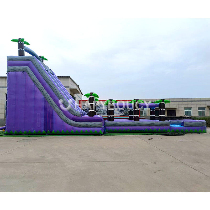 Giant Purple Inflatable Water Slide Dry Waterslide Outdoor Playground ...