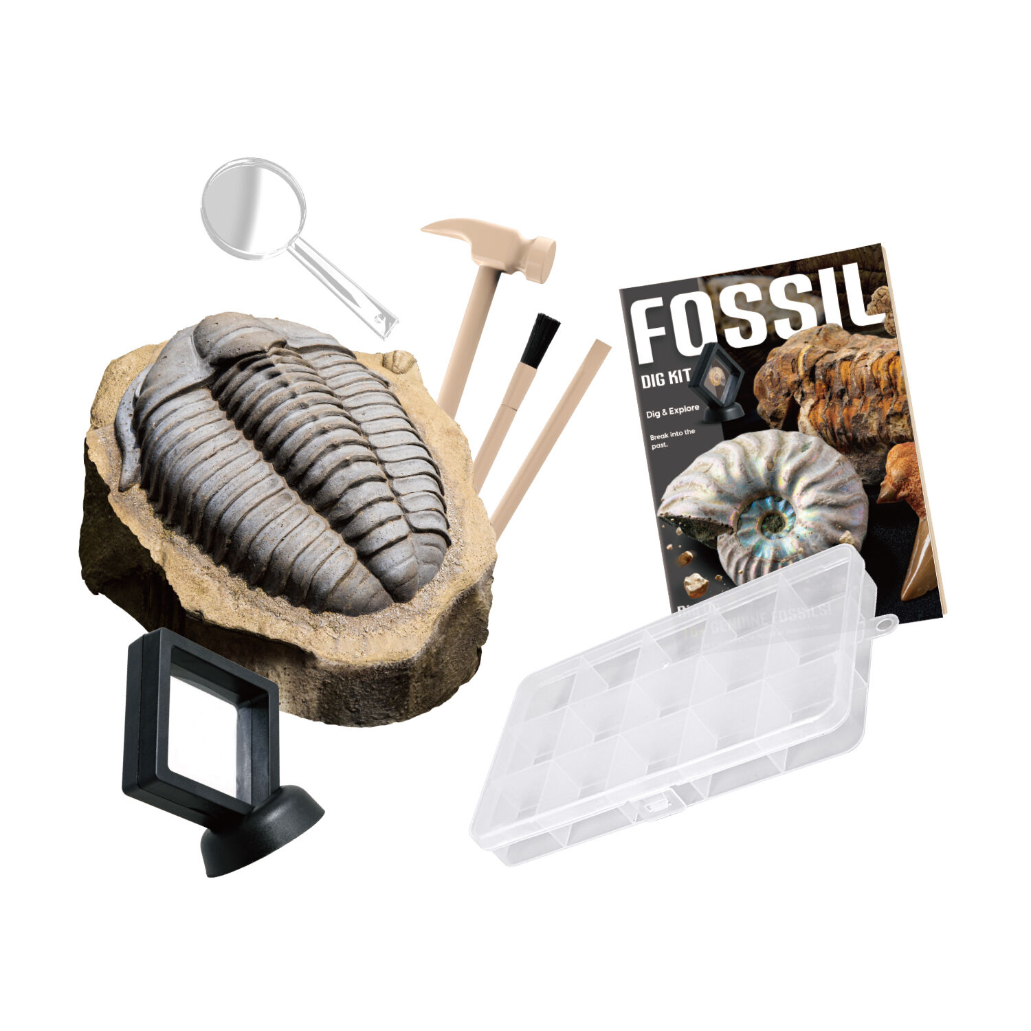 FOSSIL DIG KIT, China FOSSIL DIG KIT Manufacturers, Suppliers, Factory ...