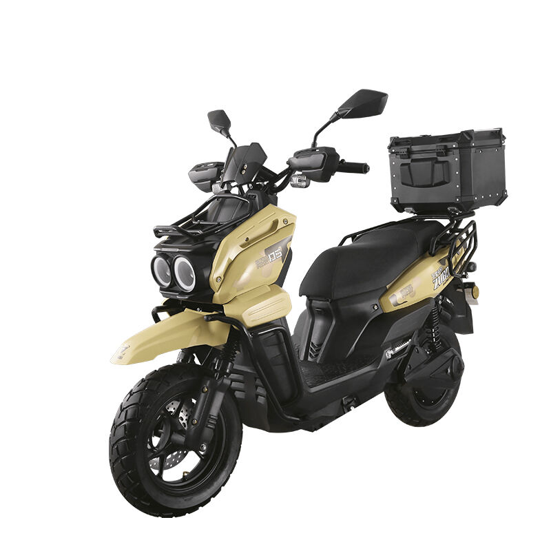 Fornecedor de Ebike, E scooter, Moped elétrico, Patinete elétrico de 3 ...