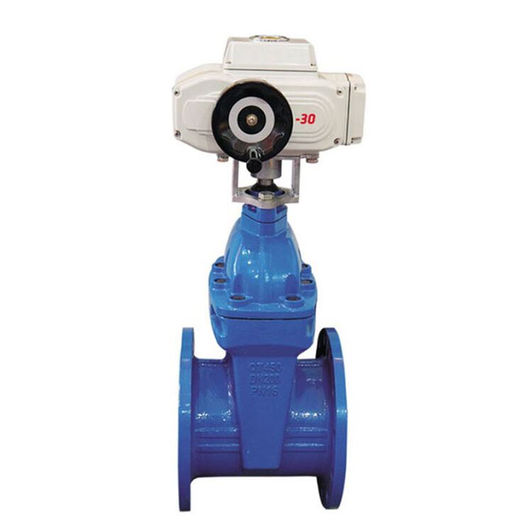 Premium Motorized Gate Valves for Reliable Flow Control