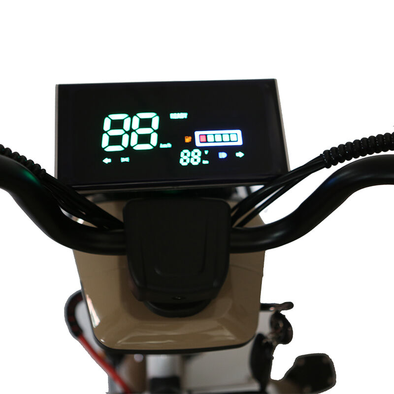 Durable 500W Electric Tricycle with Adjustable Seats Remote Control ...