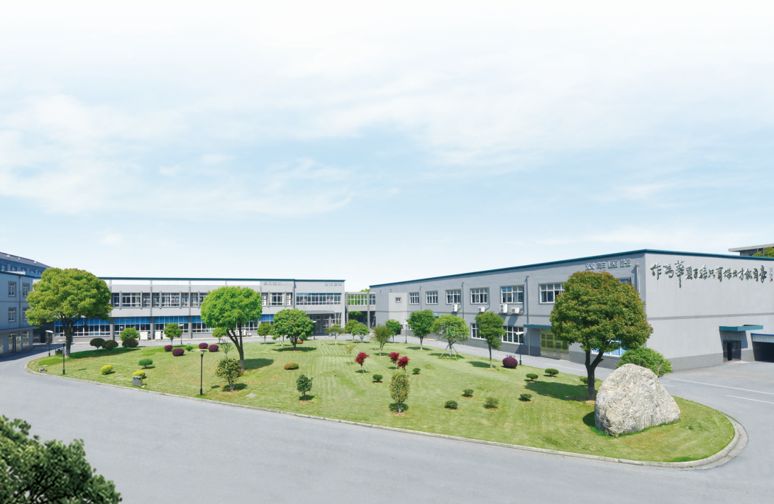 Shuangyang Medical - Leading Orthopedic Implant Instruments since 2001