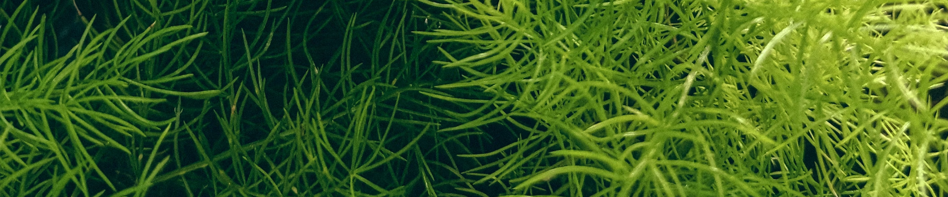 Durable Side Loading Packing List Envelopes for Efficient Shipping ...