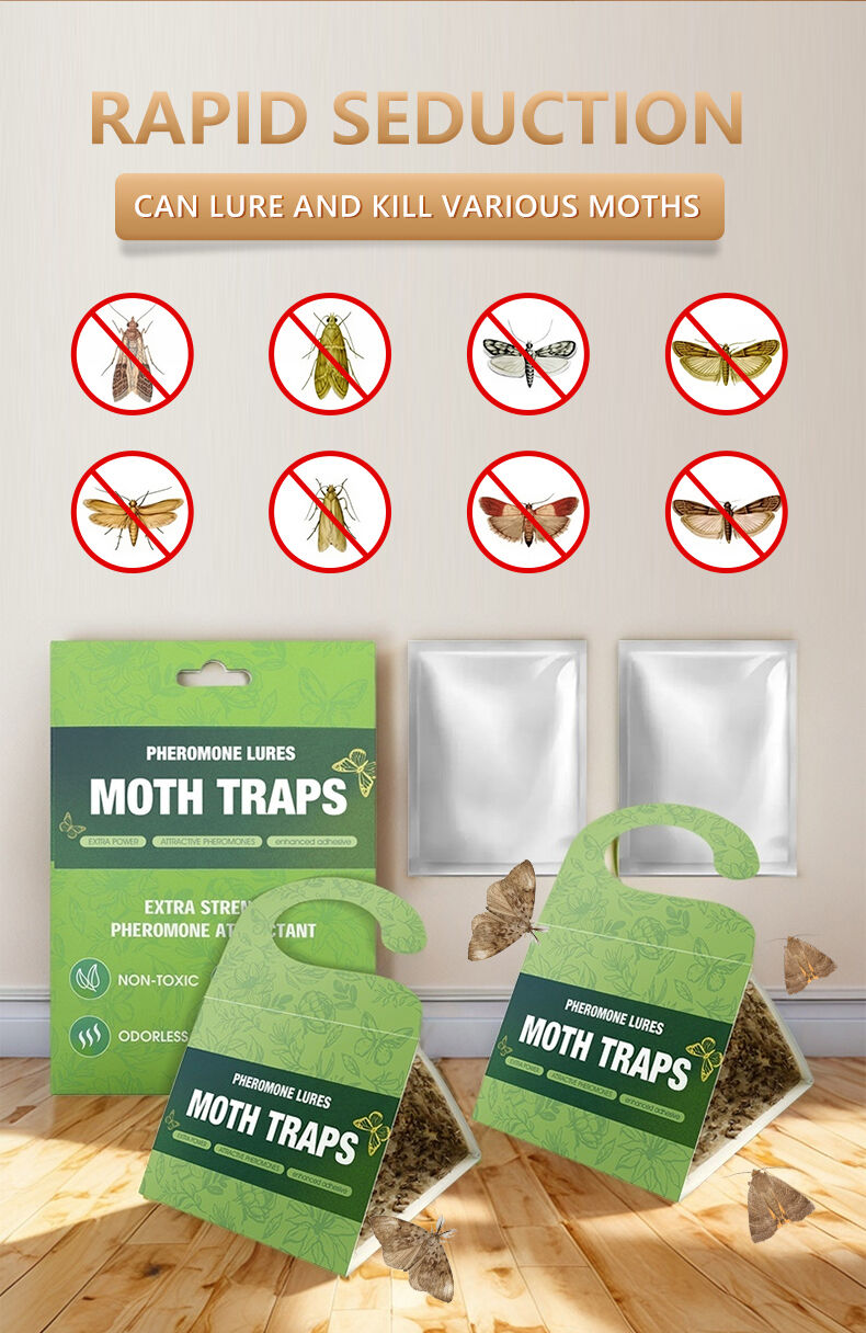 Effective Natural Moth Traps for Home & Storage | Ningbo Glantu