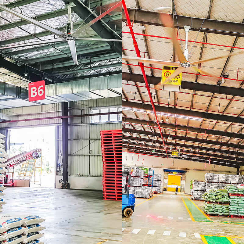 DAWANG FAN Big Fan Hvls Solve the Problems of Ventilation in Warehouses ...