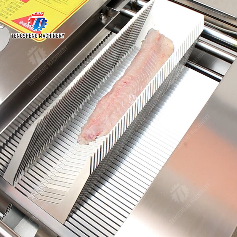 TS-XQ100 Fish Slicing machine | Aquatic product processing equipment