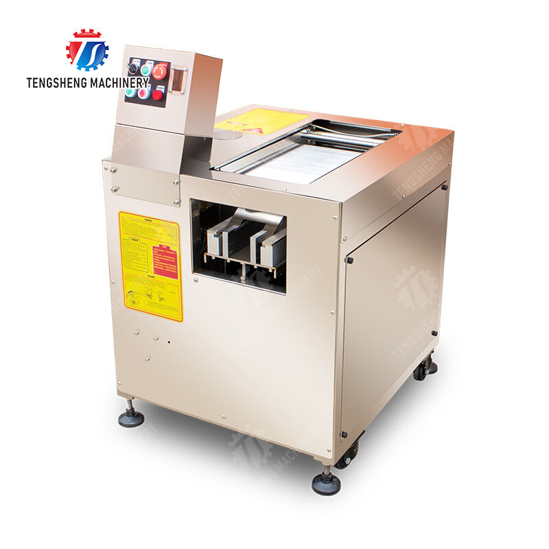 TS-XQ100 Fish Slicing machine | Aquatic product processing equipment