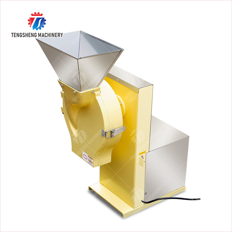 TS-Q35 Shallots Slicing Machine - Precision Shallot Processing Equipment
