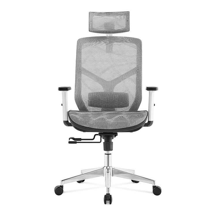 NOEL Lina-H Office Chair (White Frame, Full Mesh) – Ergonomic Design ...