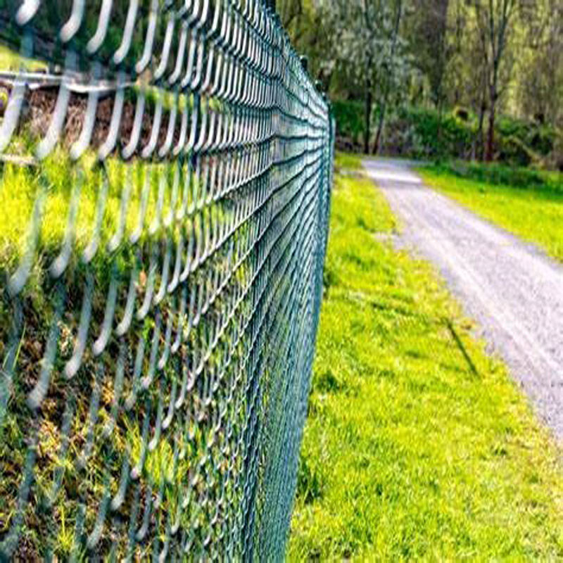Premium Black Chain Link Vinyl Fence | Anping Muyuan Wire Mesh